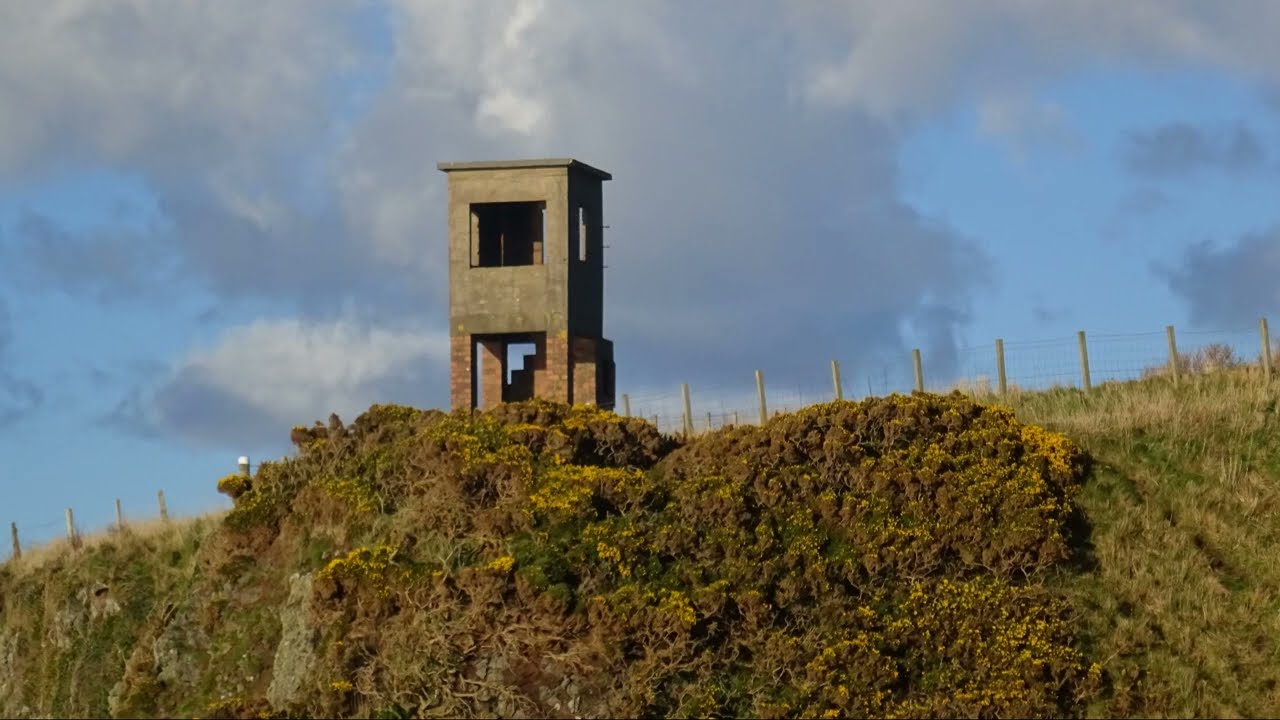 All around the watchtower
