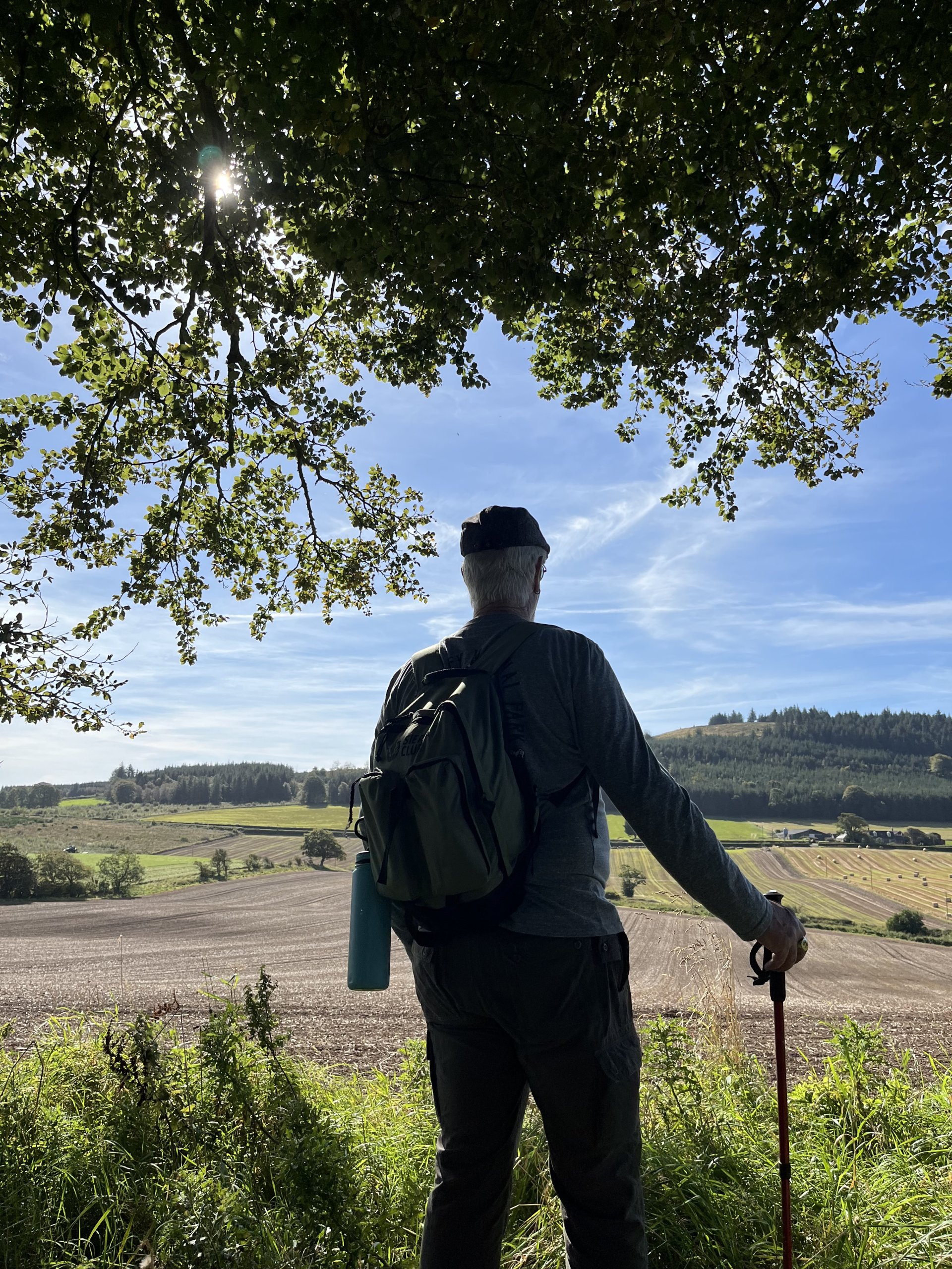 The more the berrier